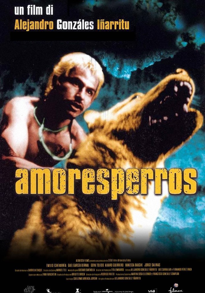 Amores Perros - film: guarda streaming online